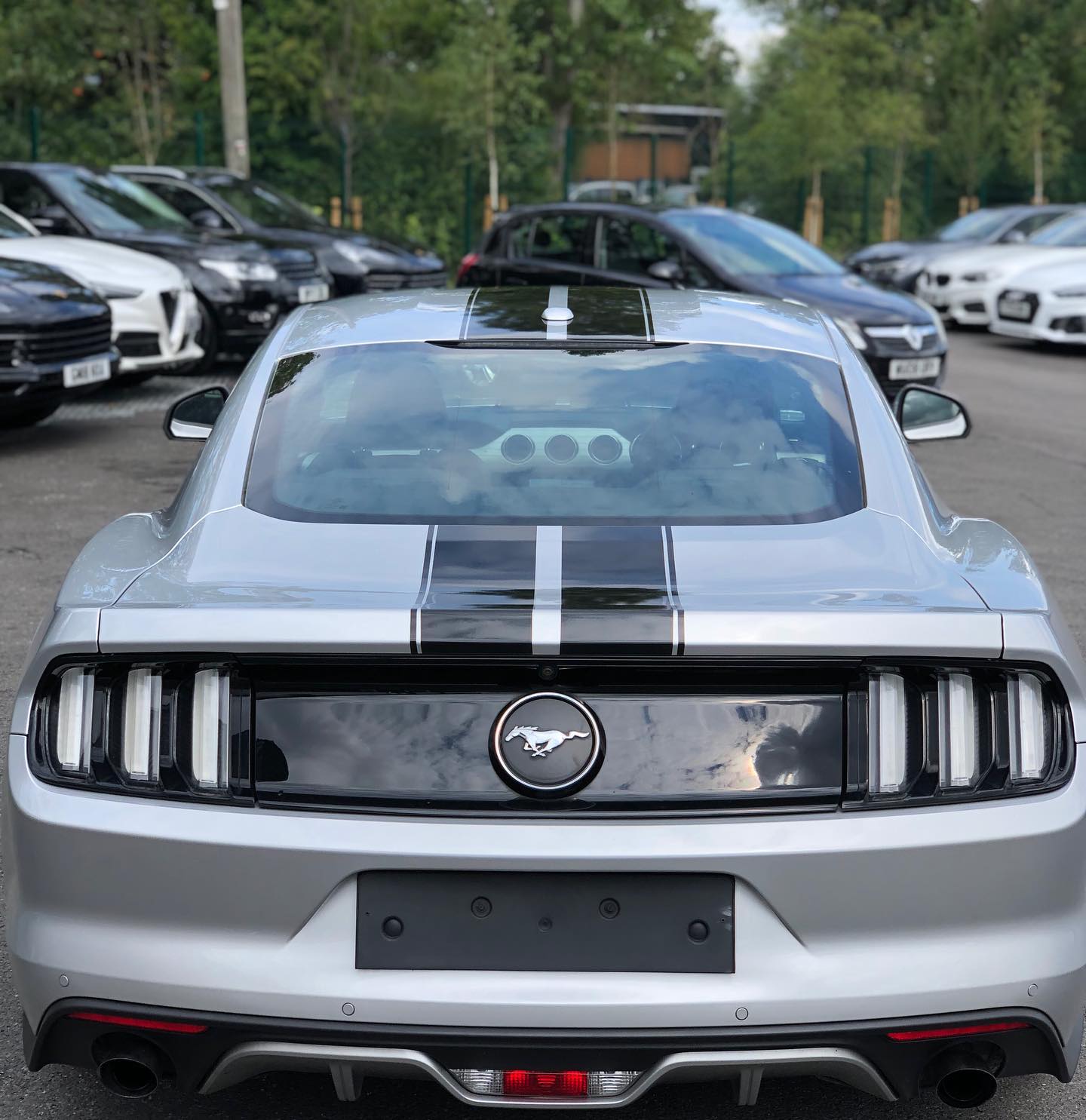 MUSTANG - Prestige Graphics