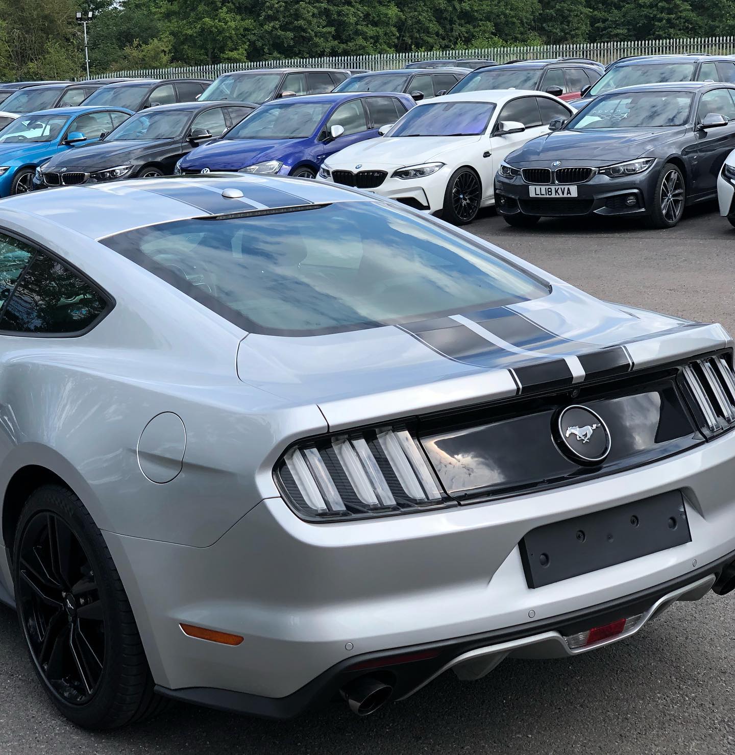 MUSTANG - Prestige Graphics